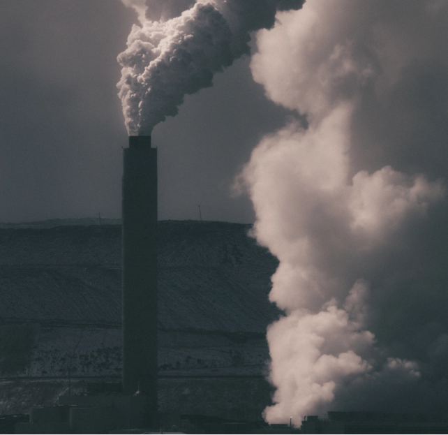 WWF Footprint Calculator